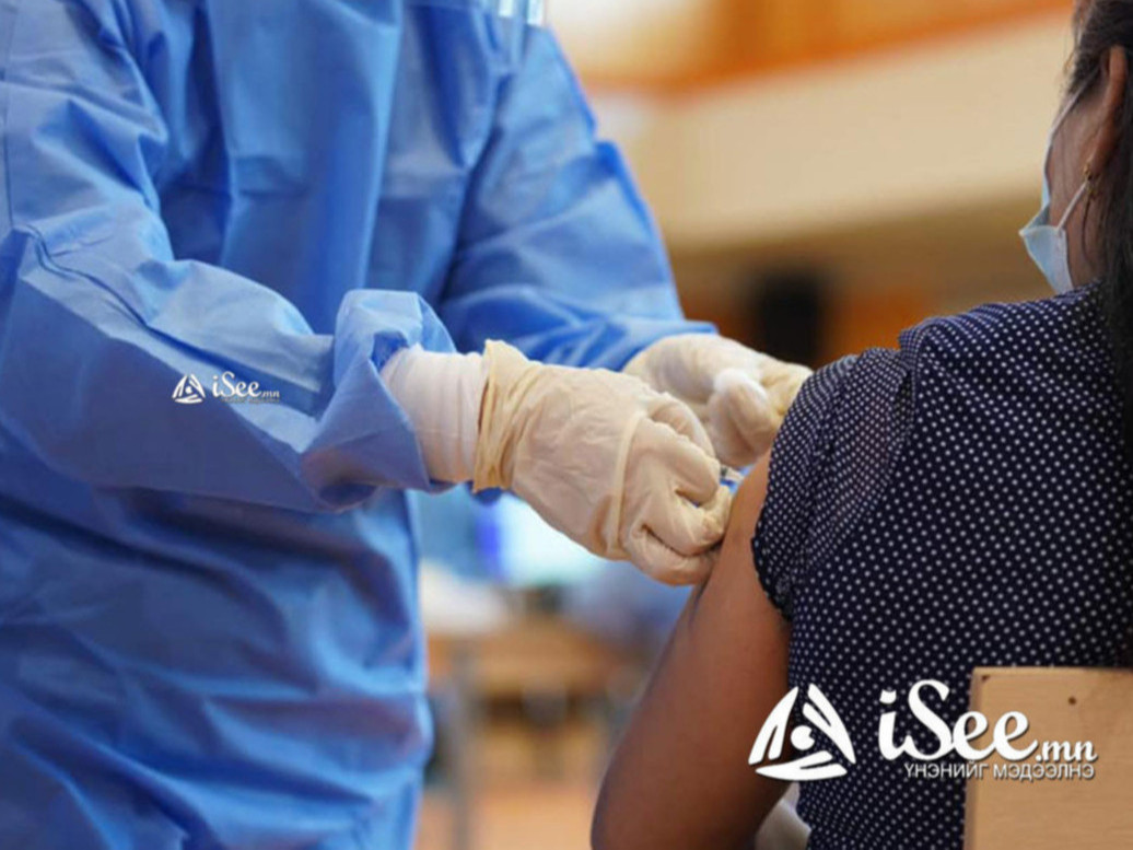 Андуурч сүрьеэгийн вакцин хийлгэсэн иргэд 20 хоногийн хугацаанд долоон нохойд хазуулжээ Isee Mn