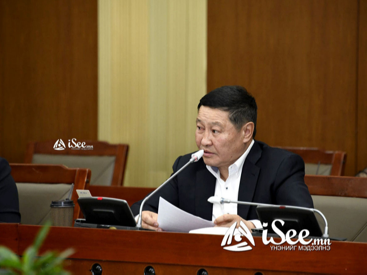 Н Алтанхуяг НӨАТ ын урамшууллыг 5 болгохыг Б Жавхлан сайд дэмжмээр байна НӨАТ ААН д маш их