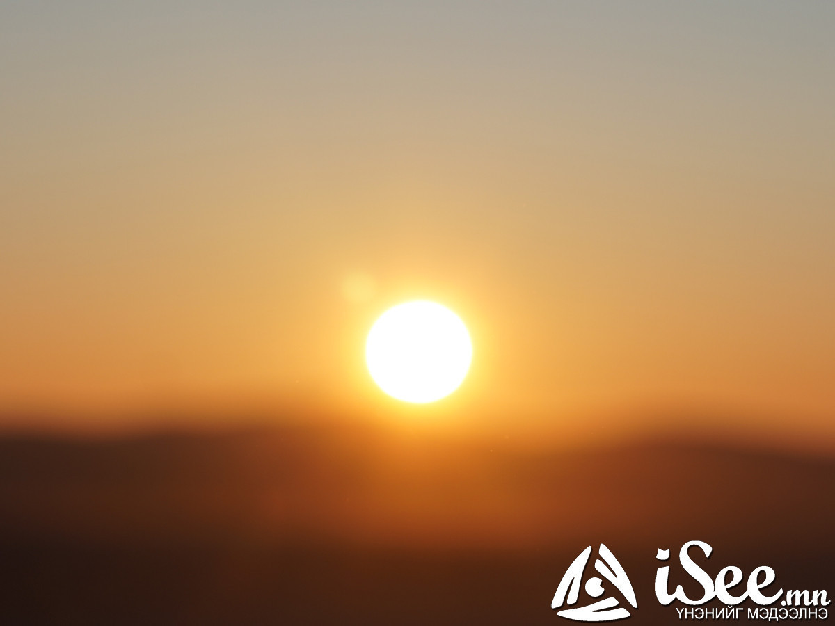 Өнөөдөр гахай өдөр | iSee.mn