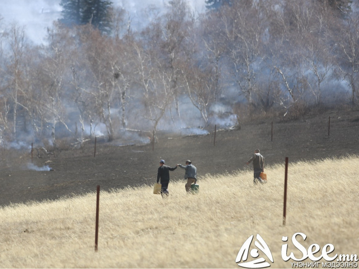 Сүхбаатар аймагт гарсан түймэрт 500 га талбай өртжээ | iSee.mn
