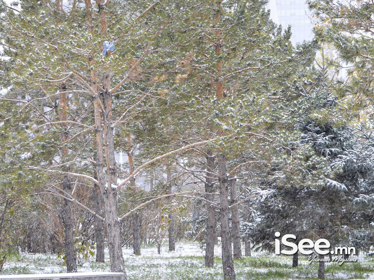 Төөрсөн, сураггүй болсон 15 иргэнийг эсэн мэнд олжээ | iSee.mn