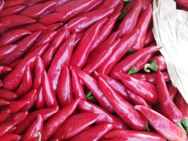 ОХУ-ын хилээр зөвшөөрөлгүй чинжүү, саримс нэвтрүүлэхийг завдсан Монгол ...