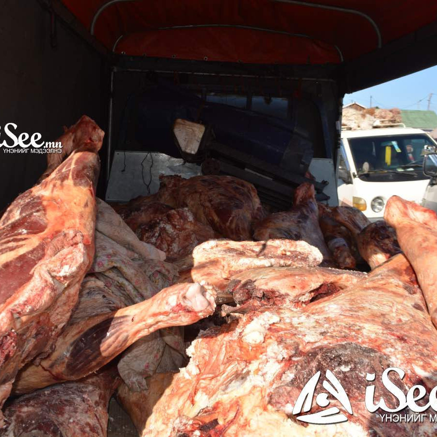 Ам.долларын ханш суларч 3595 төгрөгтэй тэнцэв | iSee.mn