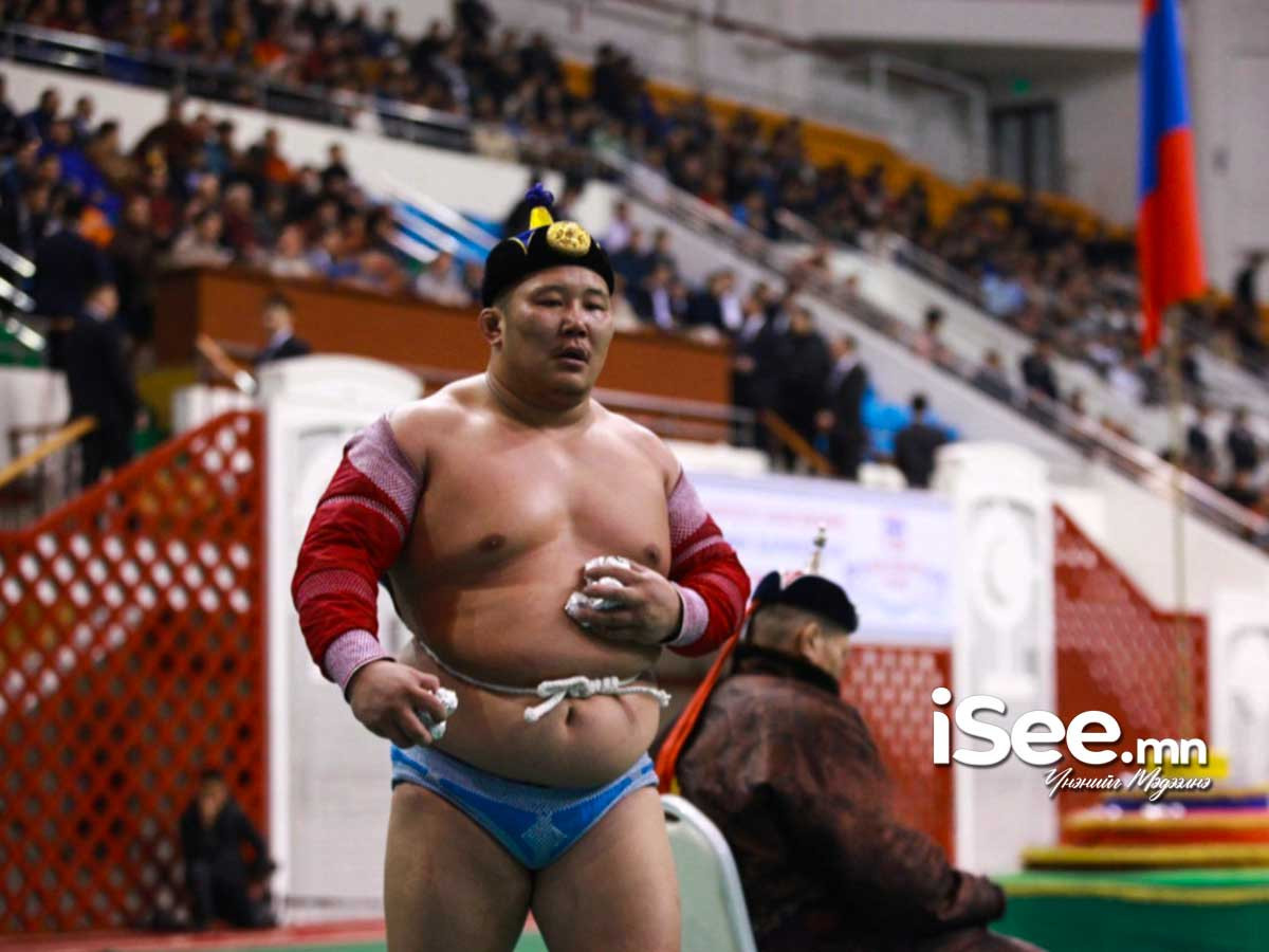 Дархан аварга Н.Батсуурь нэгийн даваанд Сумын заан М.Мандахбаярт өвдөг шороодлоо | iSee.mn